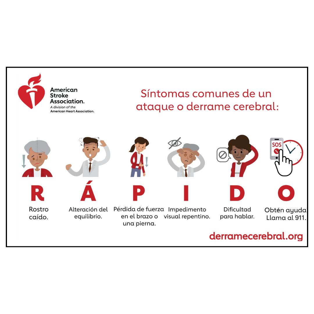 IMÁN R.Á.P.I.D.O. (R.Á.P.I.D.O Magnet, Spanish) – Paquete de 5 ...